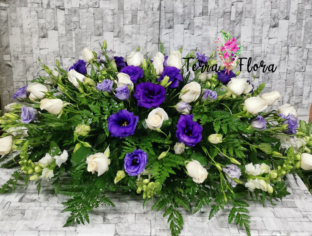 T0167 TerraFlora